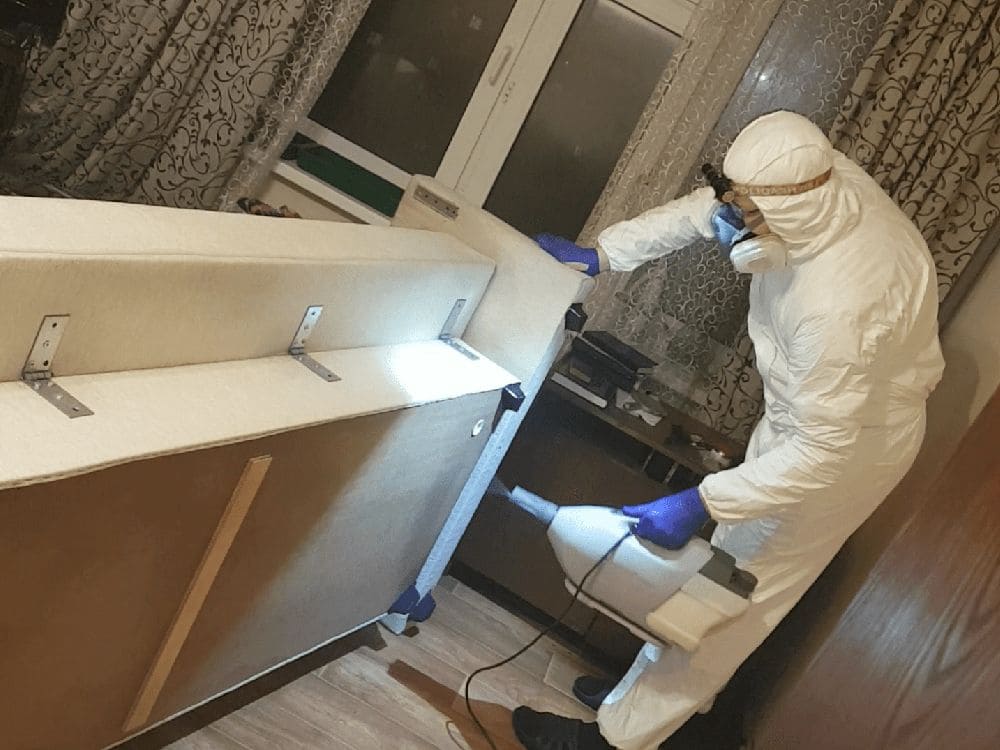 Санобработка Тольятти. Обеззараживаем квартиры, дома от 1500₽